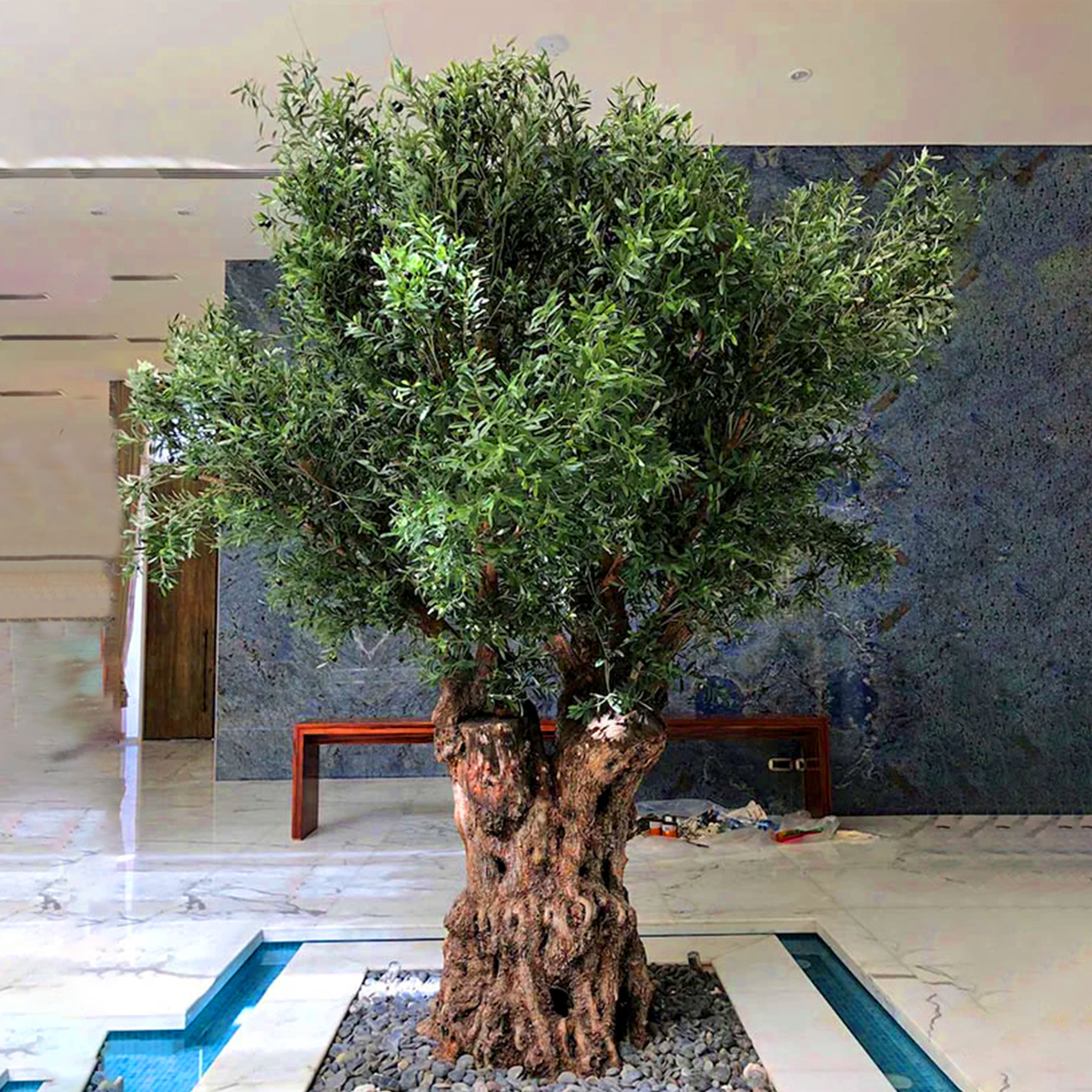 Shop Preserved Trees in Dubai, UAE & Worldwide – Authentic Preserved ...